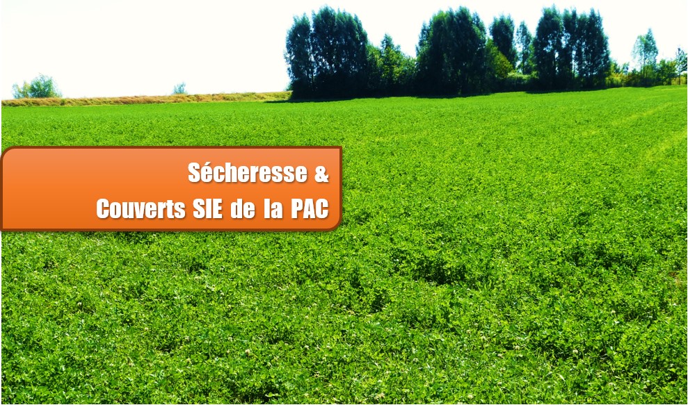 2020.08_Logo_Couverts SIE - CIPAN - FDSEA68